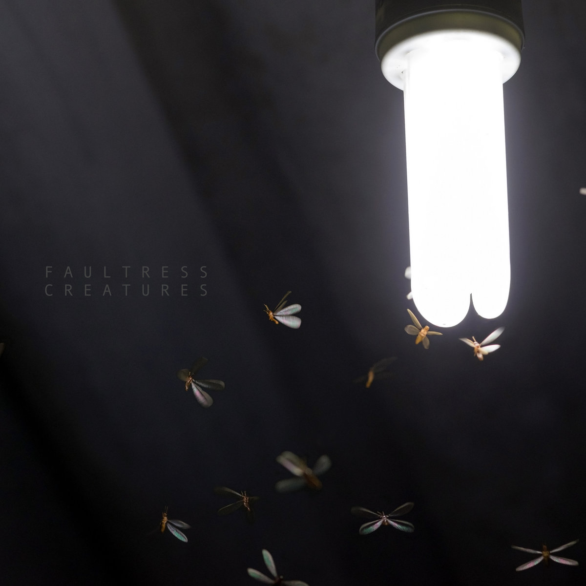 Light Bulb Creatures