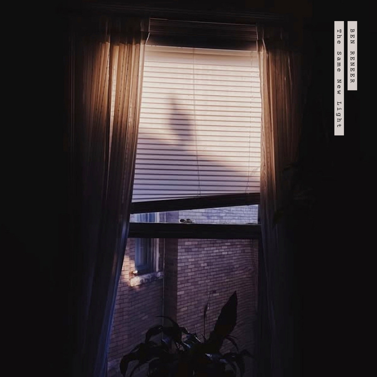 Too Weighed Down To Fly | Ben Reneer