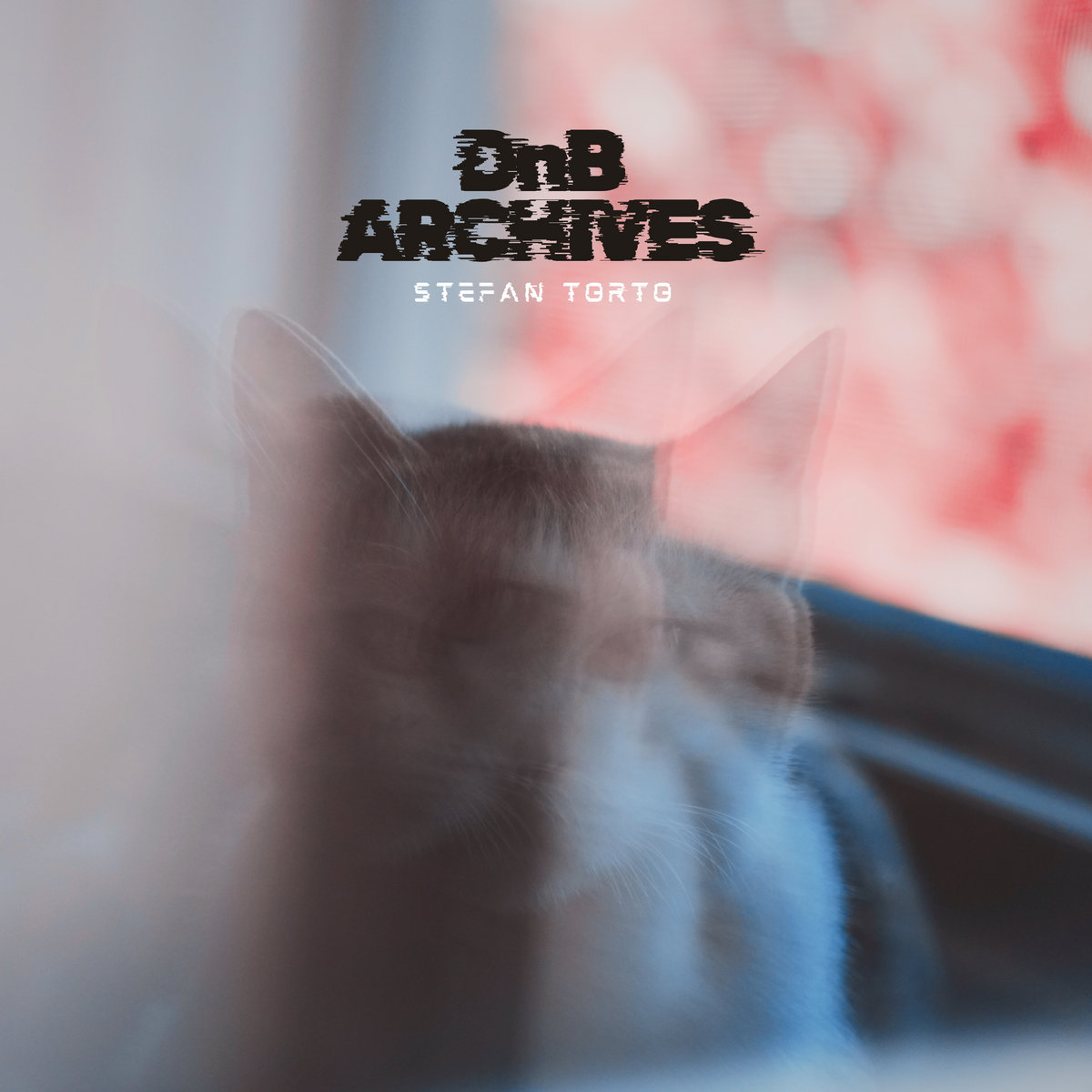 DnB Archives | Stefan Torto