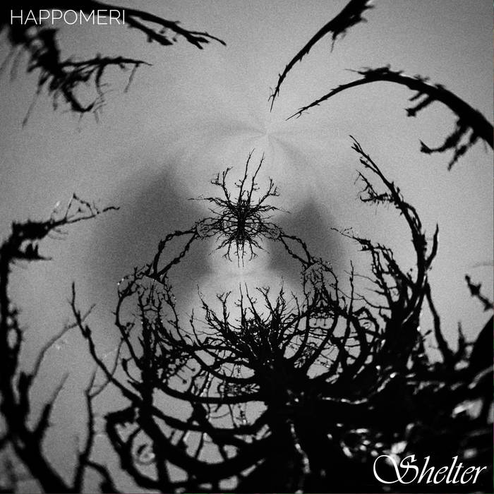 sechogs1's collection | Bandcamp