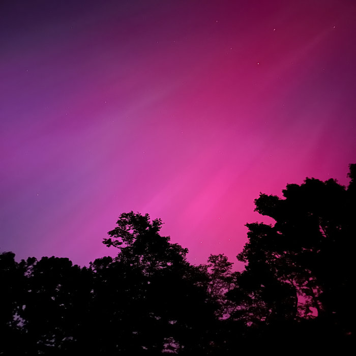 Dragonleaf Tea Party, Volume 4 | Underwater Airport