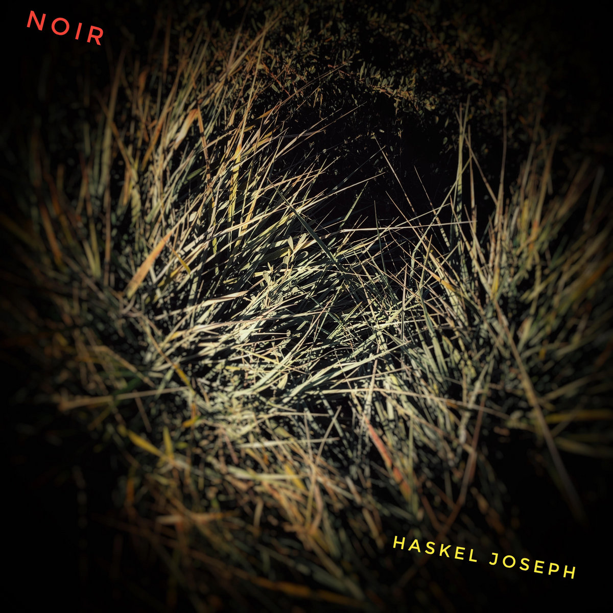 Noir | Haskel Joseph