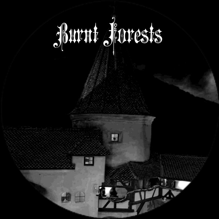 Burnt Forests | Burnt Forests