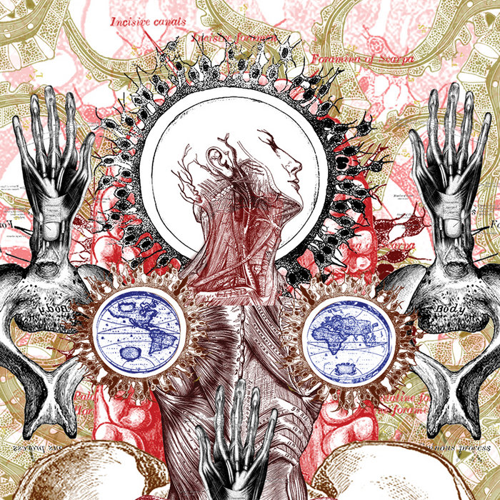 Putrescent Stiffs and Pungent Whiffs | LYMPHATIC PHLEGM | Black Hole ...