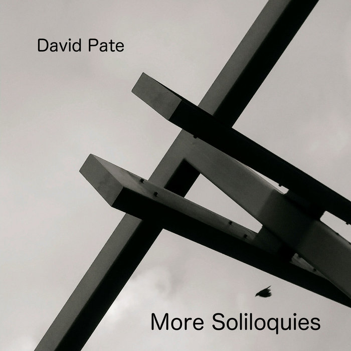 Frog Pond | David Pate