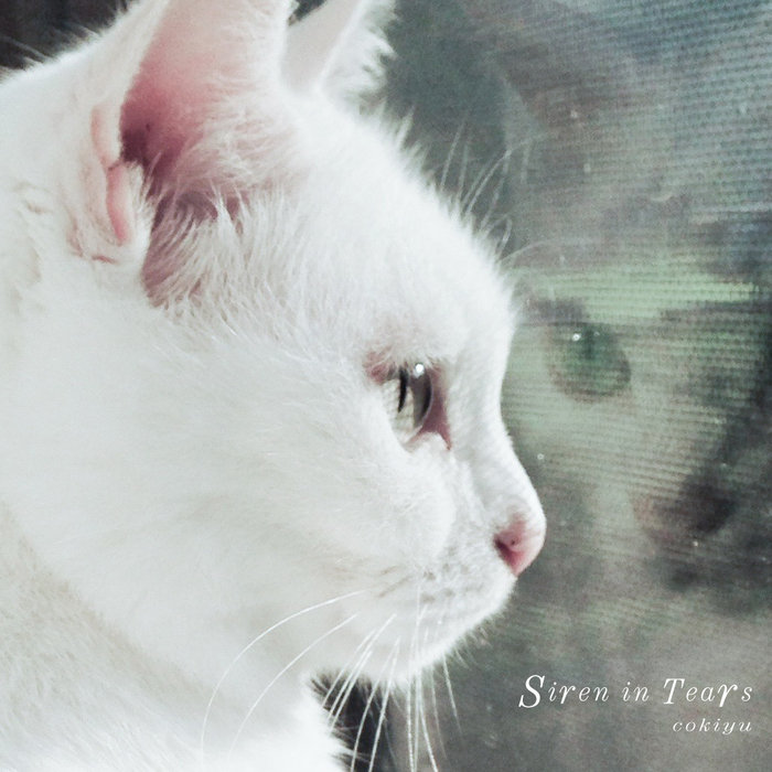 Siren in Tears | cokiyu
