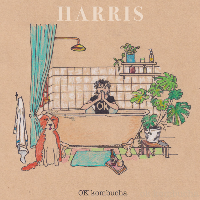 OK kombucha | Harris