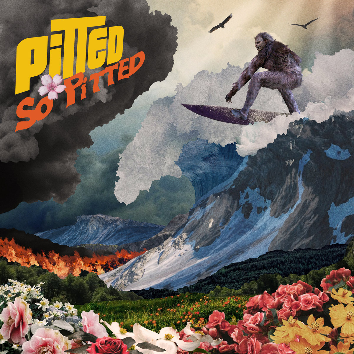 So Pitted | Pitted