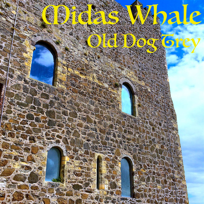 Midas Whale | OldDogTrey