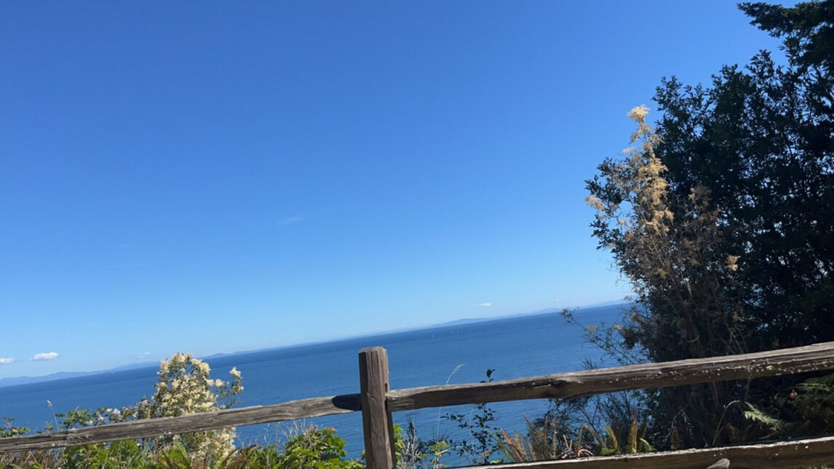 Yesterday | Ava Gordon | iii