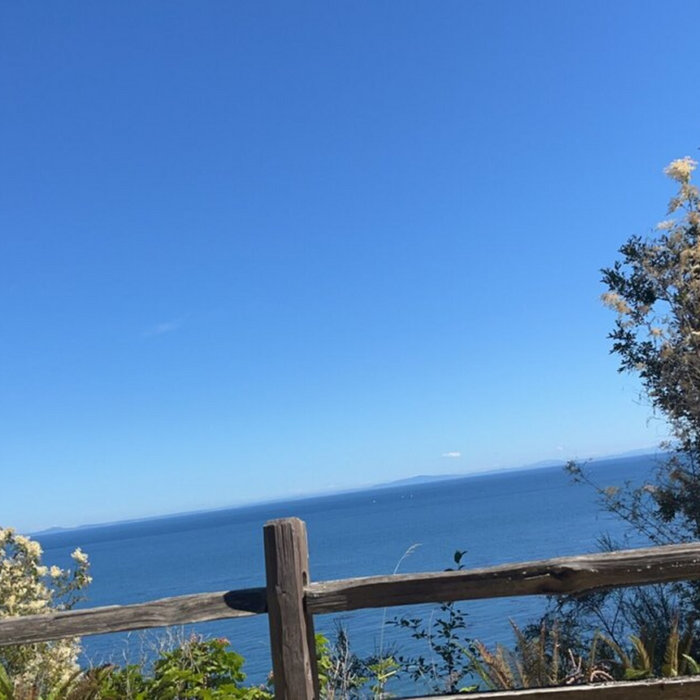 Yesterday | Ava Gordon | iii