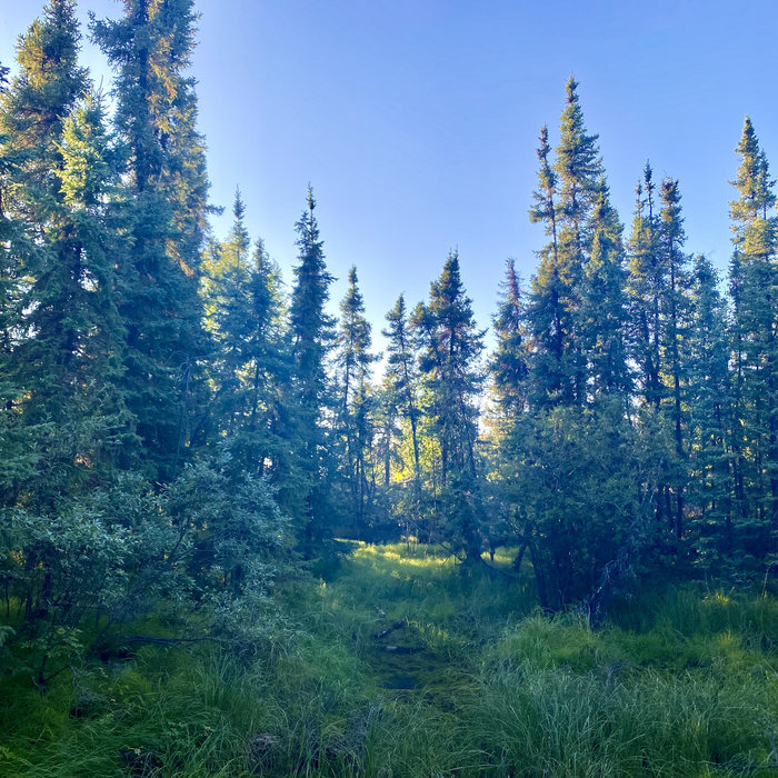 earth dance | sunaïra | Sami Blanco