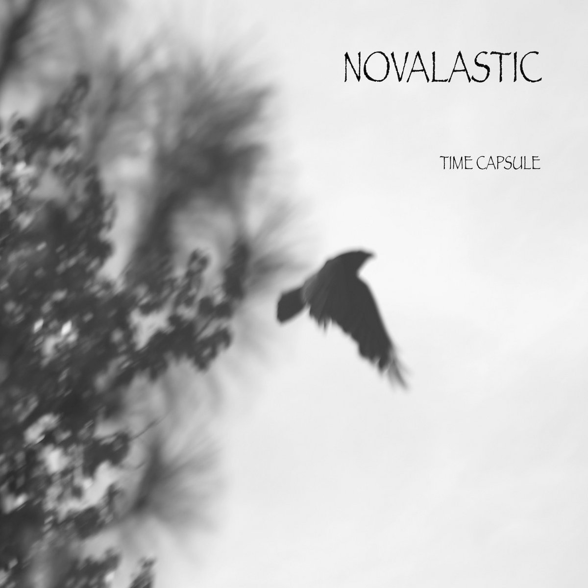 Time Capsule | Novalastic