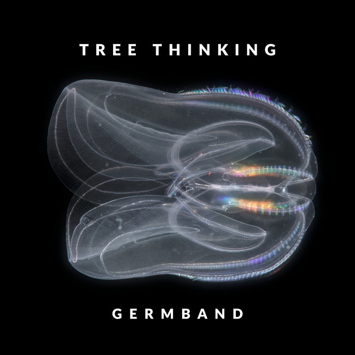 Tree Thinking | Germband