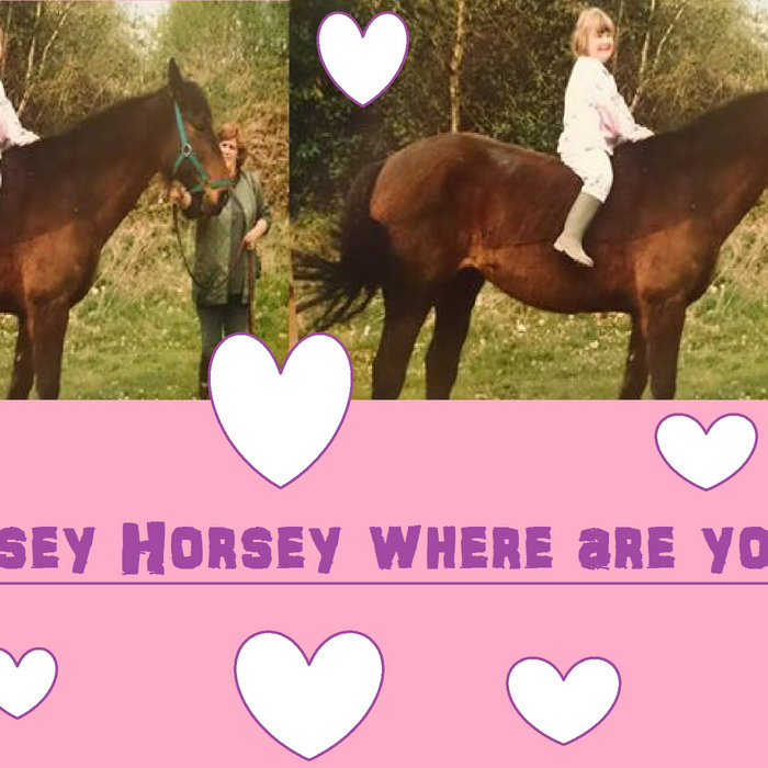 Horsey Horsey Where are you? | Katey sings stuff