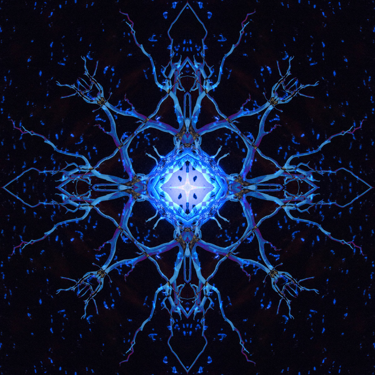 The Garden Sessions - part I | DTime