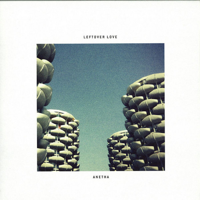 Leftover Love | Anetha