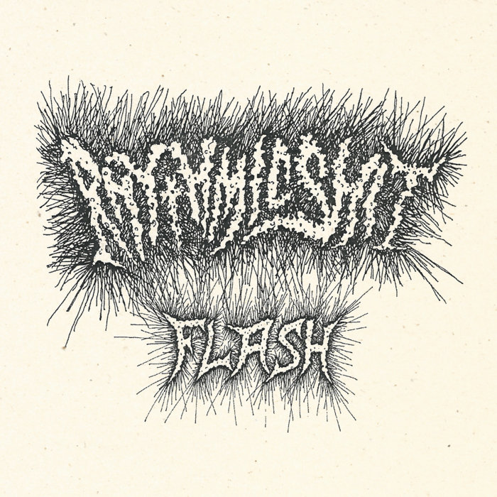 Flash | RHYTHMICSHIT | 23 Diskettes
