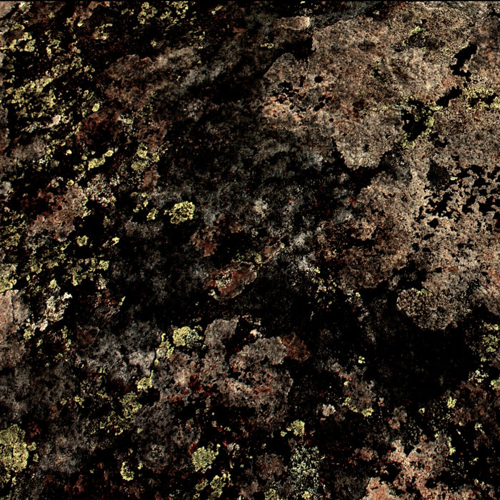 M1411 | Víctor Fuertes