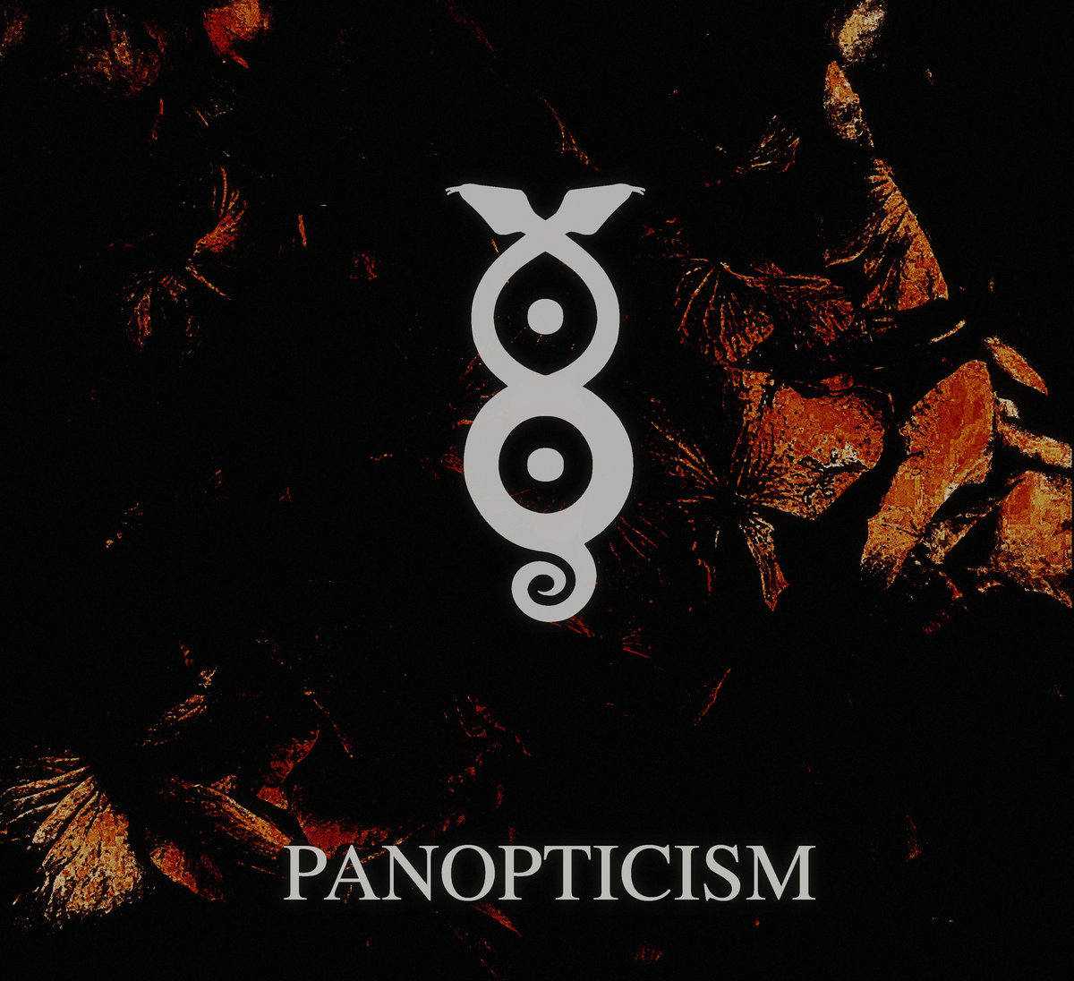 PANOPTICISM | Amfisbaena: Szymon Wieczorek, Jan Dzierżanowski | Szymon ...