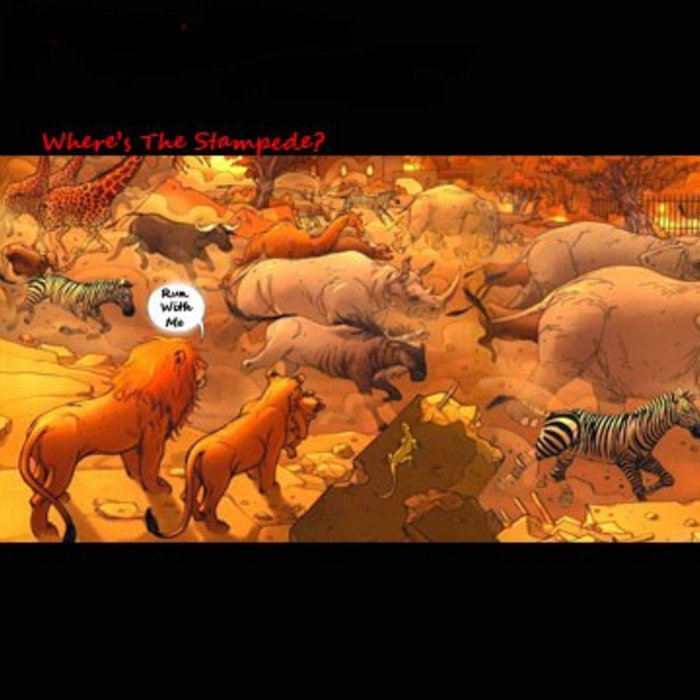 Where's The Stampede | The Stampede