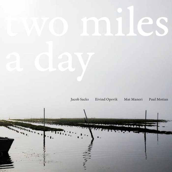 Two Miles A Day | Jacob Sacks / Eivind Opsvik / Mat Maneri / Paul ...