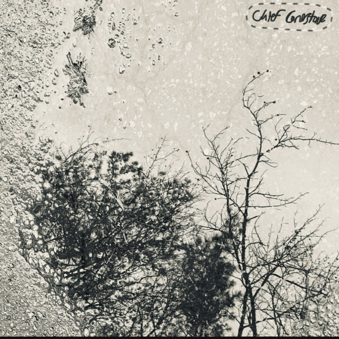 And the rest of Gilead, and all Bashan, being the kingdom of Og, gave I ...