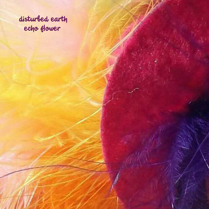 Echo Flower | Disturbed Earth