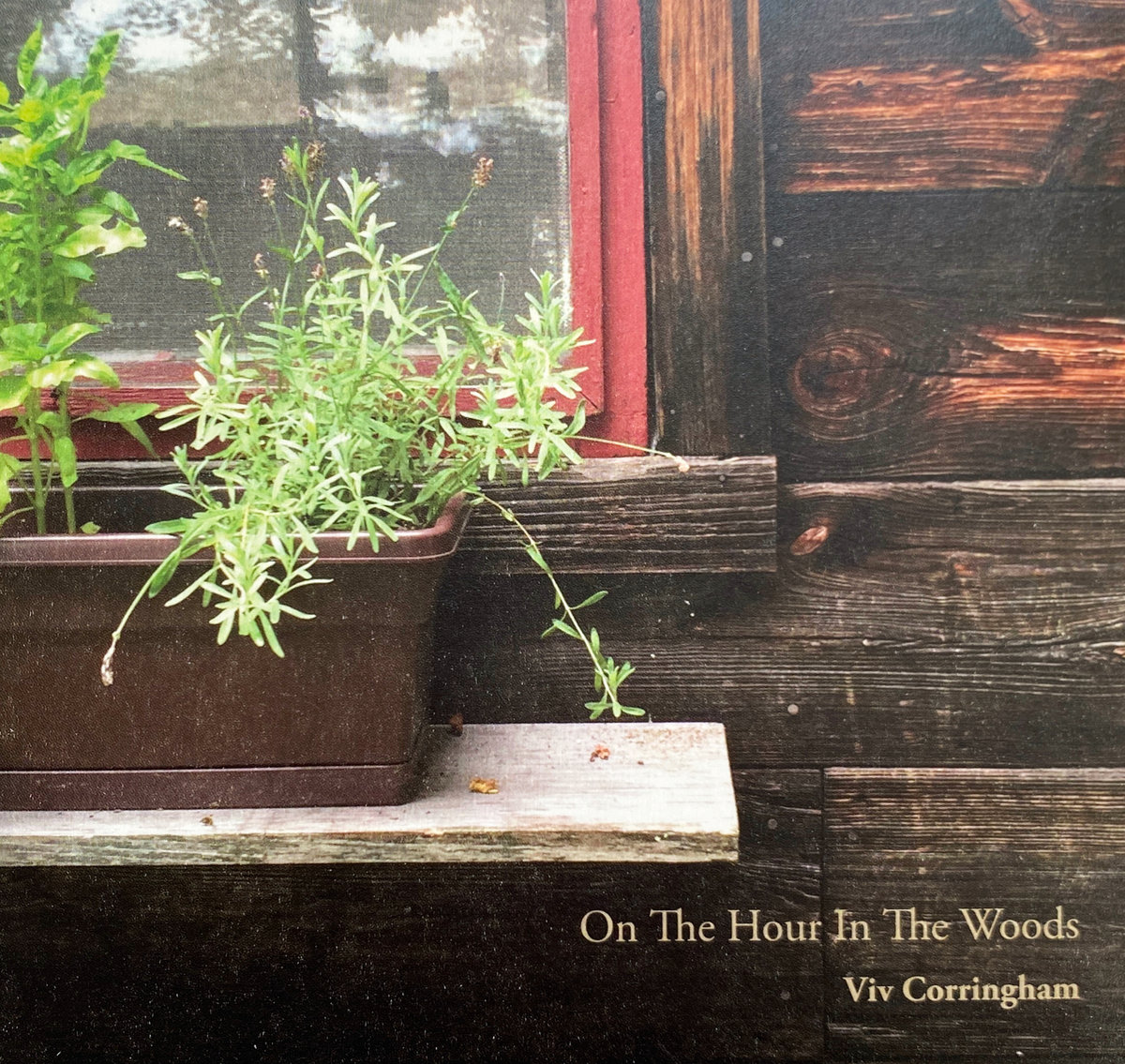 On The Hour In The Woods | Viv Corringham | farpoint recordings
