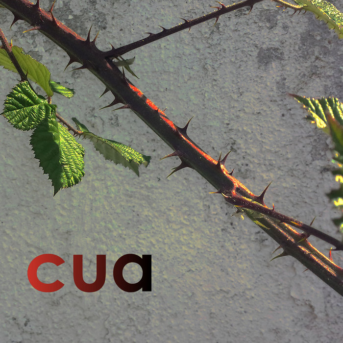 cua | cua