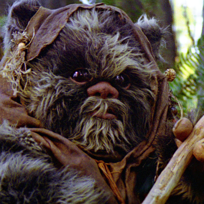 Throwing your Wicket Away/Dwarf Tossing - A Cautionary Tale | Darth Veda