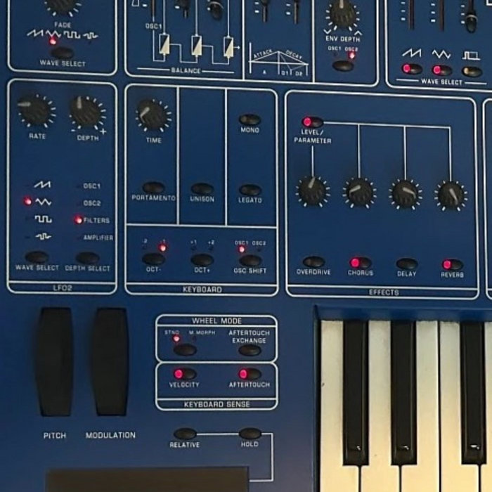 OBERHEIM OB-12 | Vintage Synth Samples