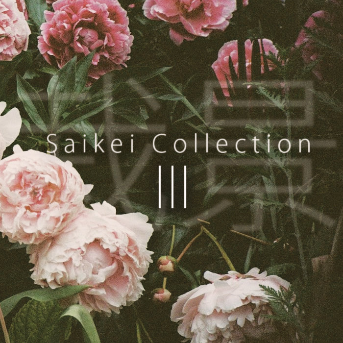 Saikei Collection Vol. 3 | saikei collective