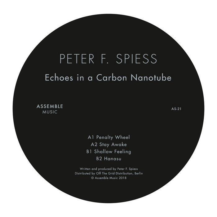 Echoes In A Carbon Nanotube | Peter F. Spiess