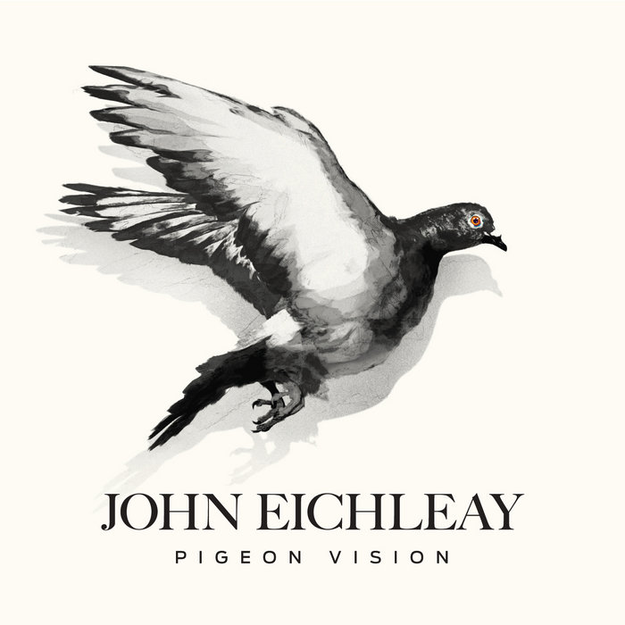Pigeon Vision | John Eichleay