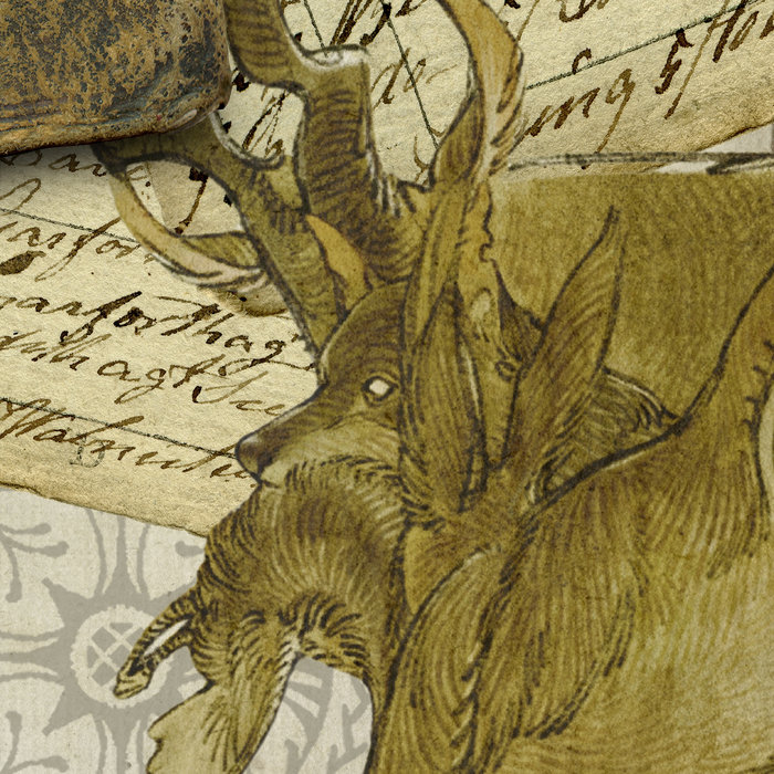 Harpy Hare | Yaelokre