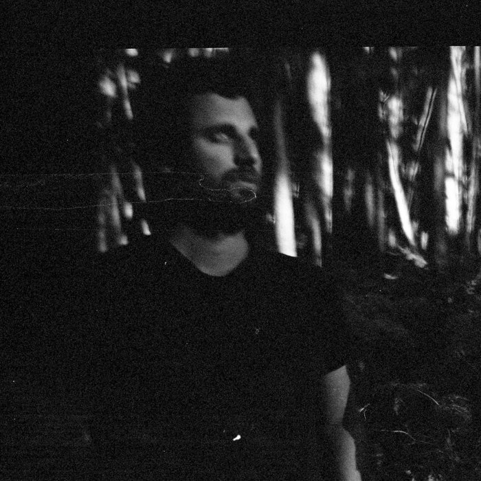 Wombat Forest | Anthony Petrucci (Poems by Patrick Jones) | Anthony ...