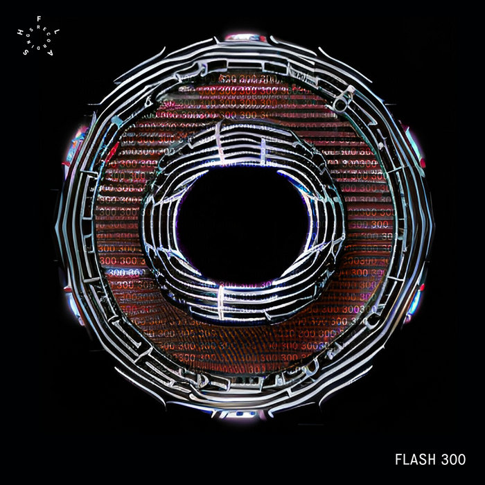 Various Artists - FLASH 300 | FLASH Recordings