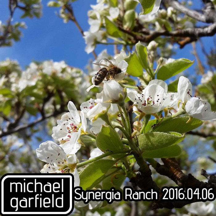 Synergia Ranch 2016-04-06 | Michael Garfield