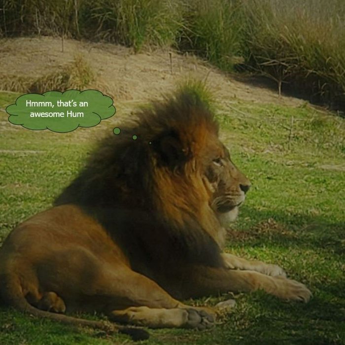 Listen for the Hum | The Humming Machine