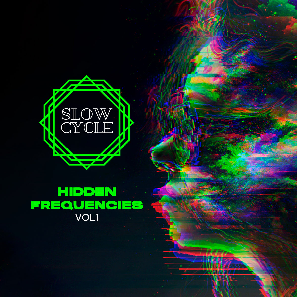 HIDDEN FREQUENCIES, VOL. 1 | Slow Cycle Records
