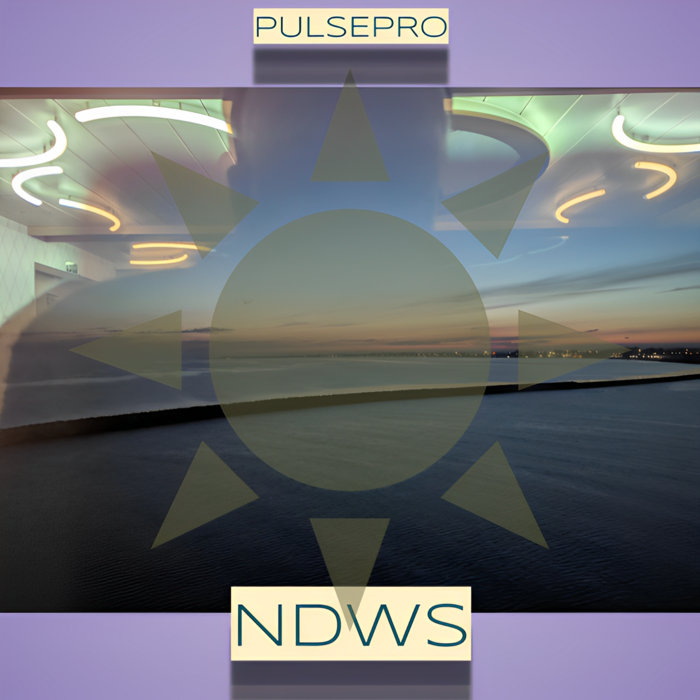 NDWS | PulsePro
