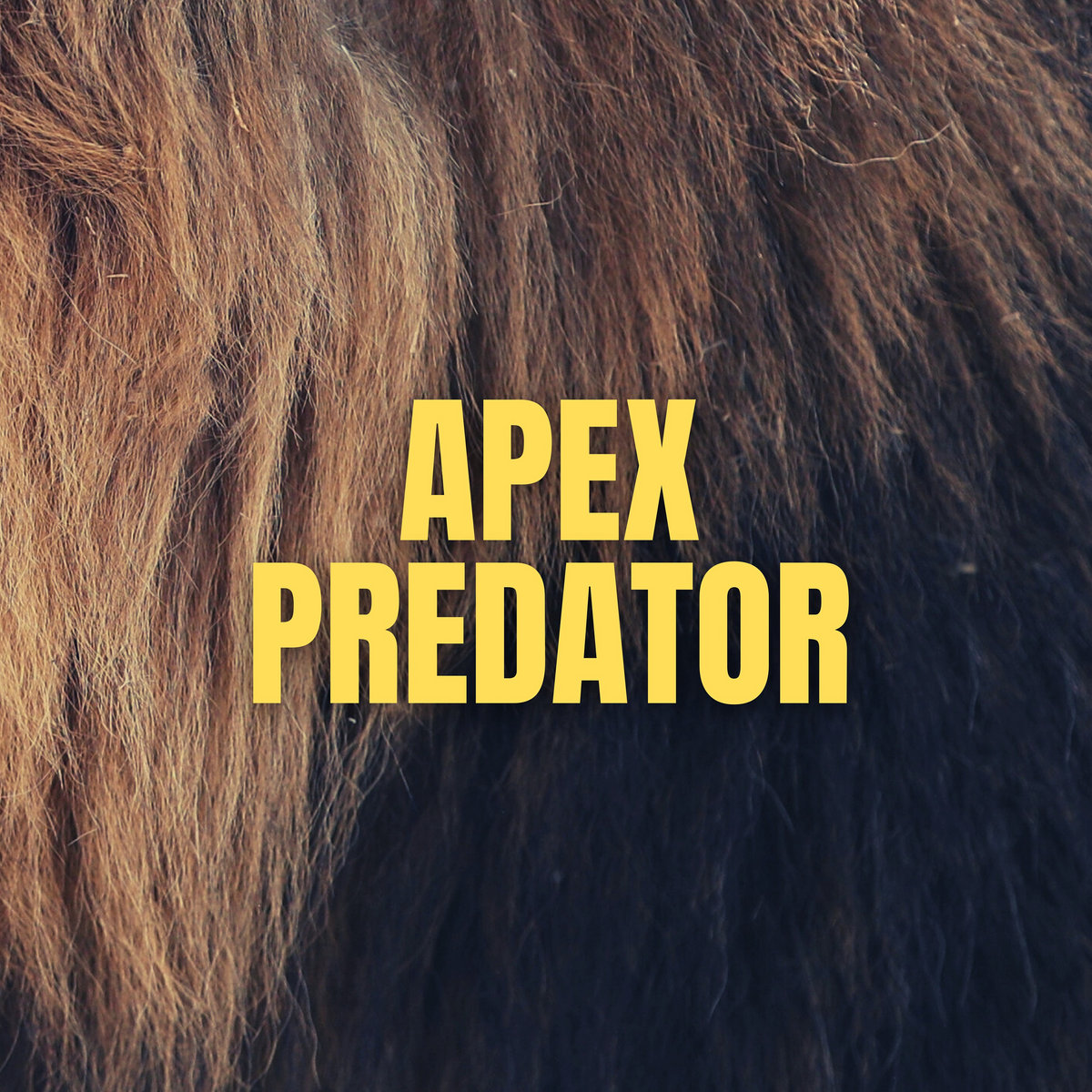 Apex Predator | Tomcat