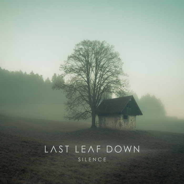 Silence | Last Leaf Down