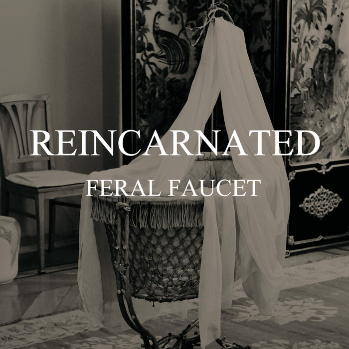 Reincarnated | FERAL FAUCET