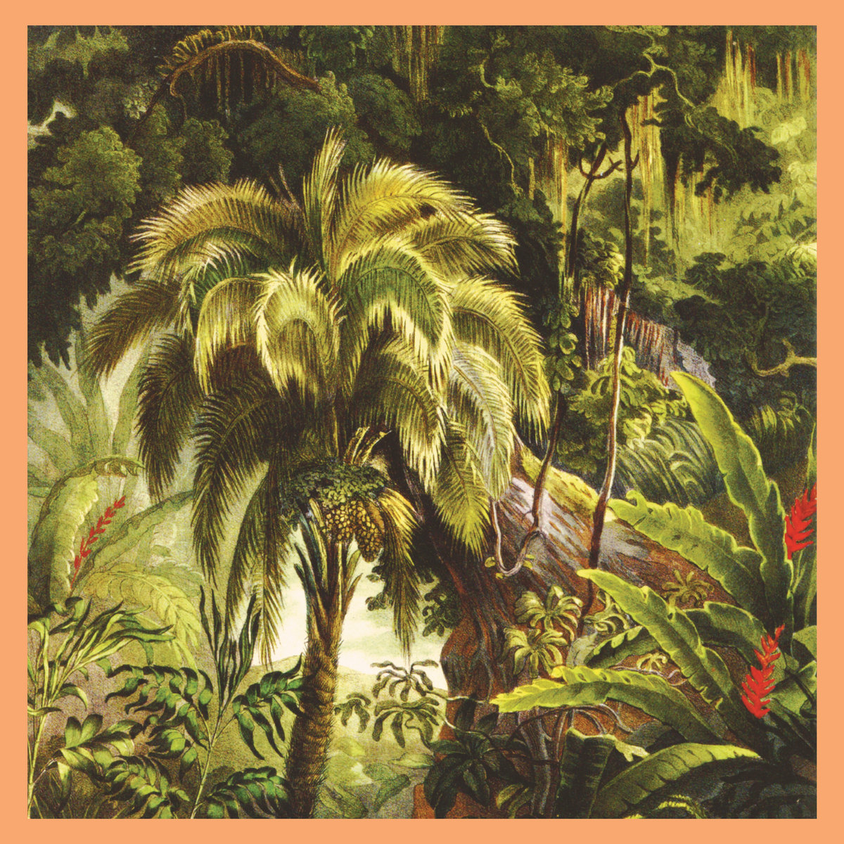 La For ê t (2024) | Xiu Xiu