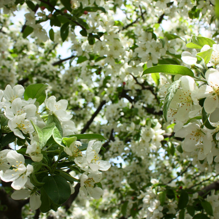 Dogar Books For General Knowledge Pdf Free | Tobiabroo | zeixmeninlinli