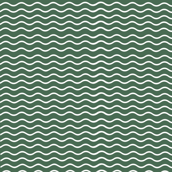 Untold Stories from the Battenkill | Grant Wallace Band & Ross ...