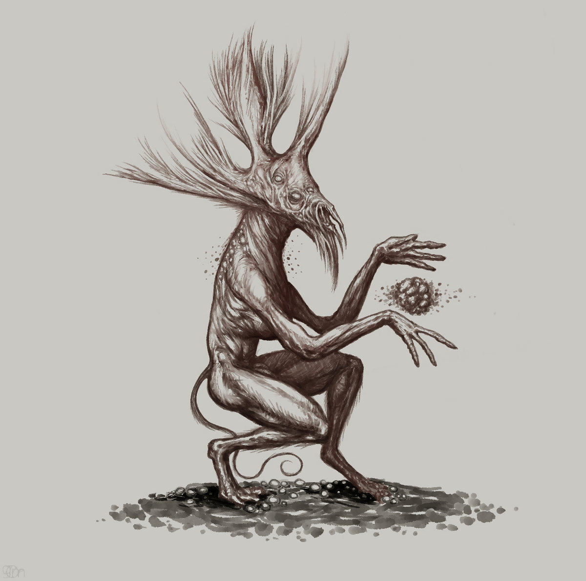 Shrinal Nostoc Farm Native to Many Cultivating Generations of Formerly ...