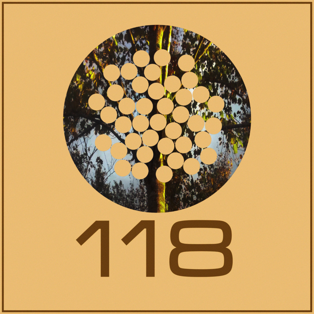 Braided Channel IV | Milieu | Vibratelepathic Antiviral Broadcasts